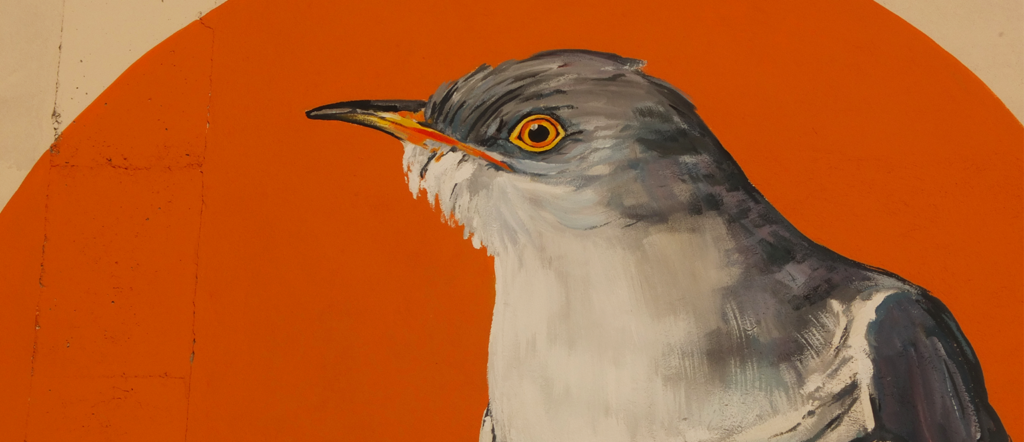 Cucut - Enciclopèdia Mural