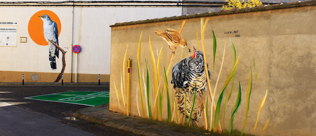 Cucut - Enciclopèdia Mural